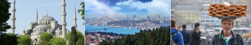 Istanbul Car Rental with Driver, Turkey Car & Bus Service